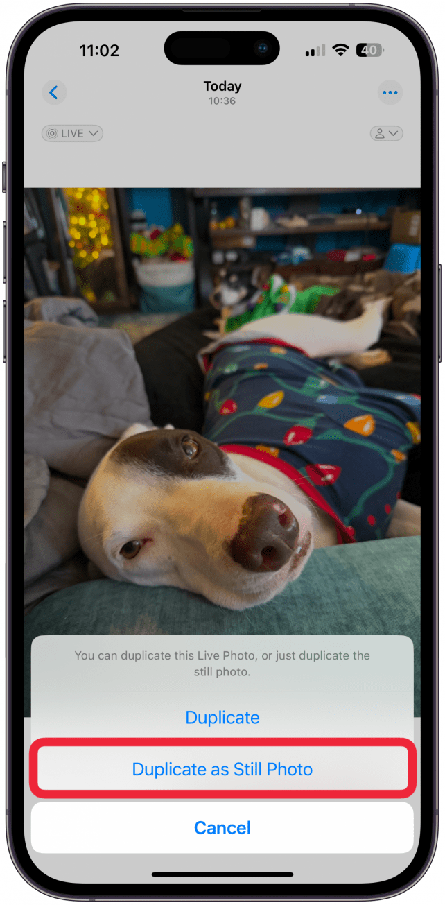 How to Convert Live Photo to Still on iPhone