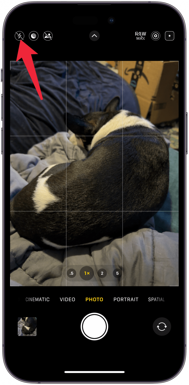 How to Turn the Flash Off on iPhone Camera App