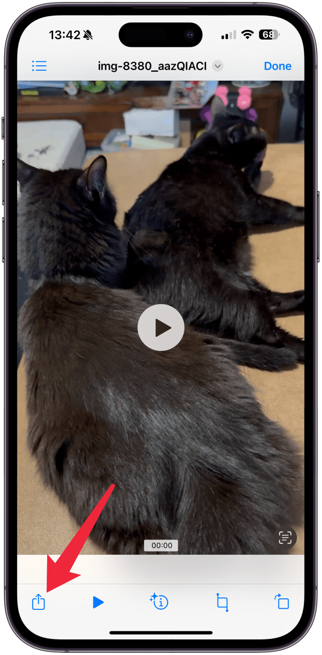 How to Reverse a Video on iPhone