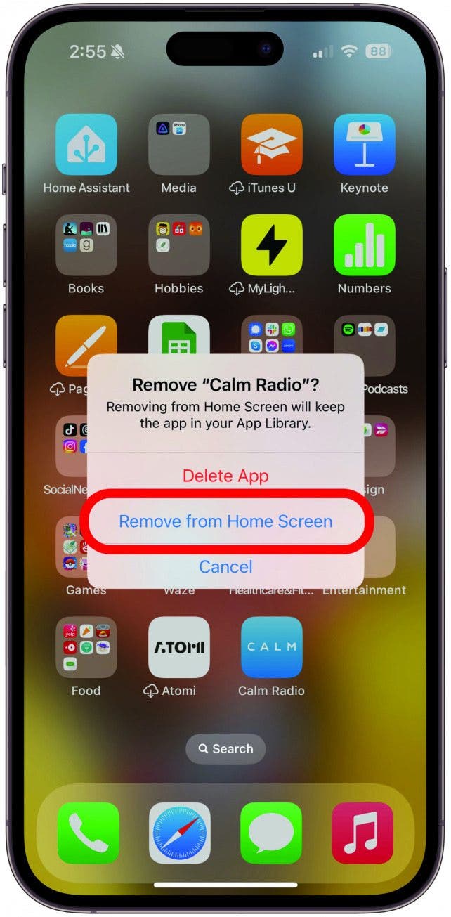 Organize Your iPhone Home Screen & Apps
