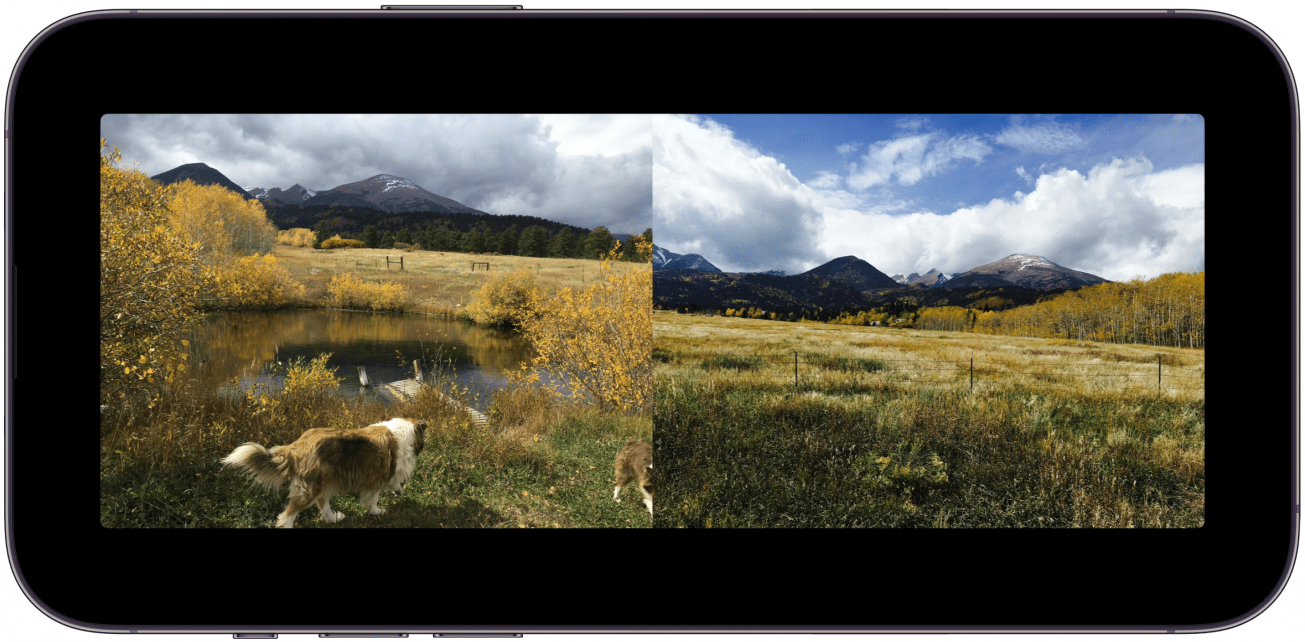 How to Put Two Pictures Side-by-Side on iPhone | www.iphonelife.com