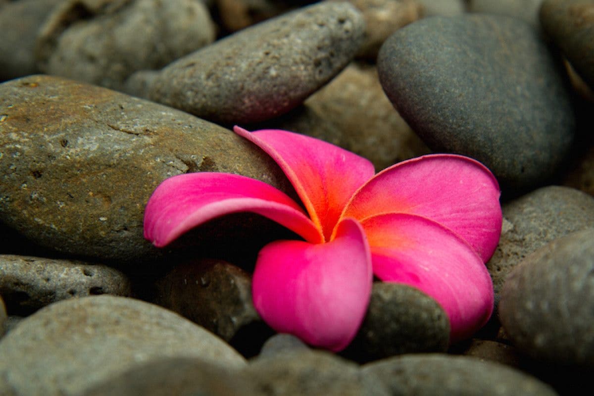 Swift Programming 101 Creating Self Registering Swift Ui Controls