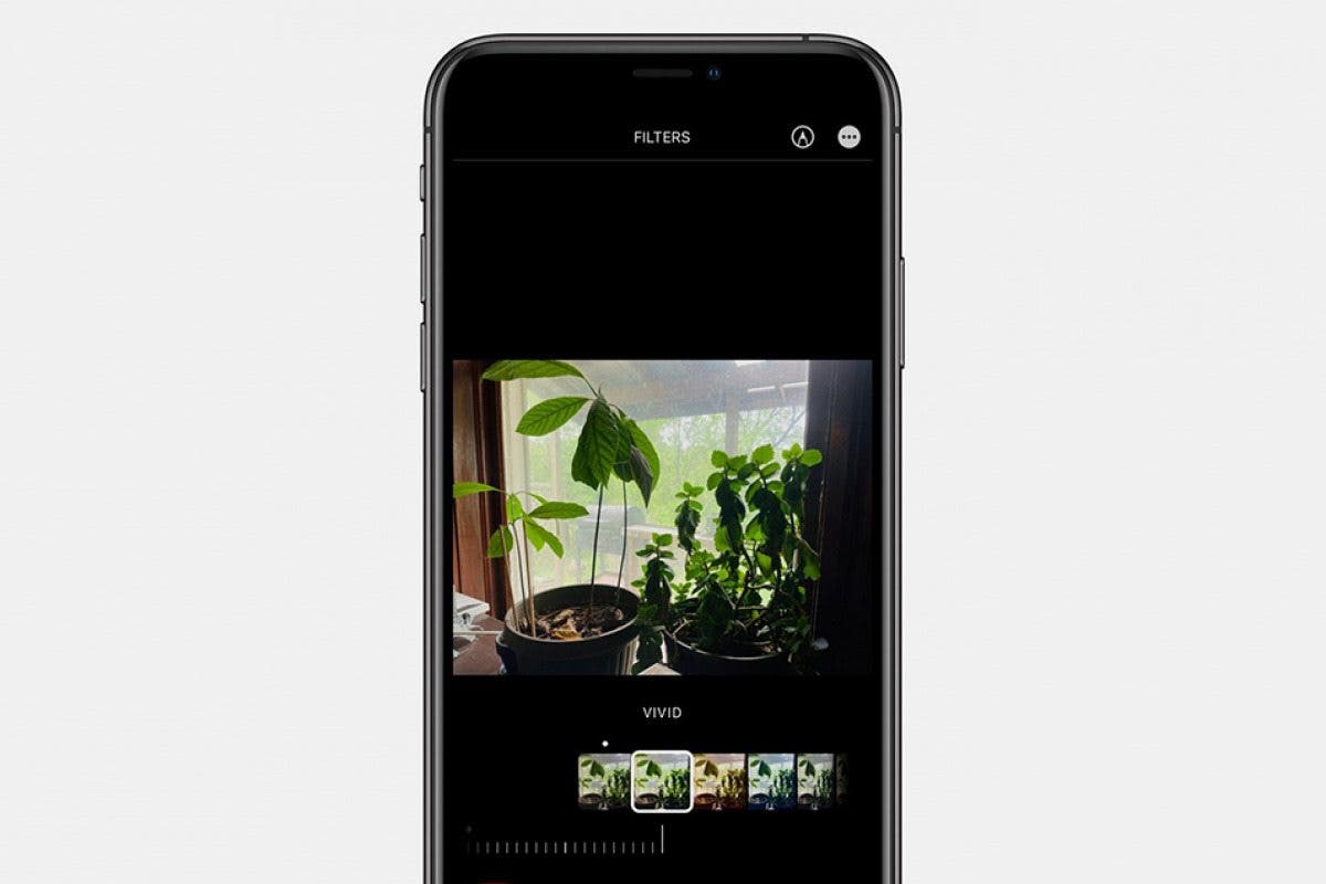 How to Add Filters to Live Photos on iPhone