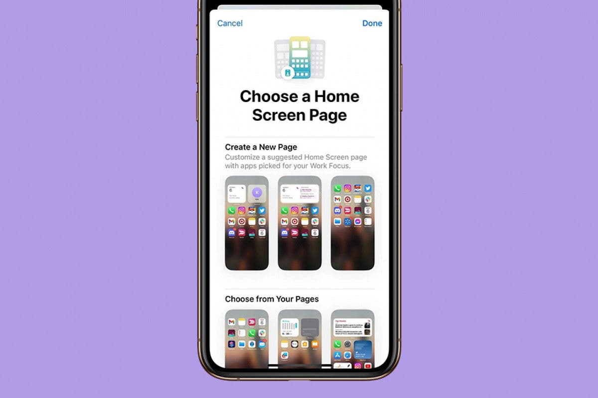 Iphone Home Screen Layout The Minimalist IPhone Home Screen Business