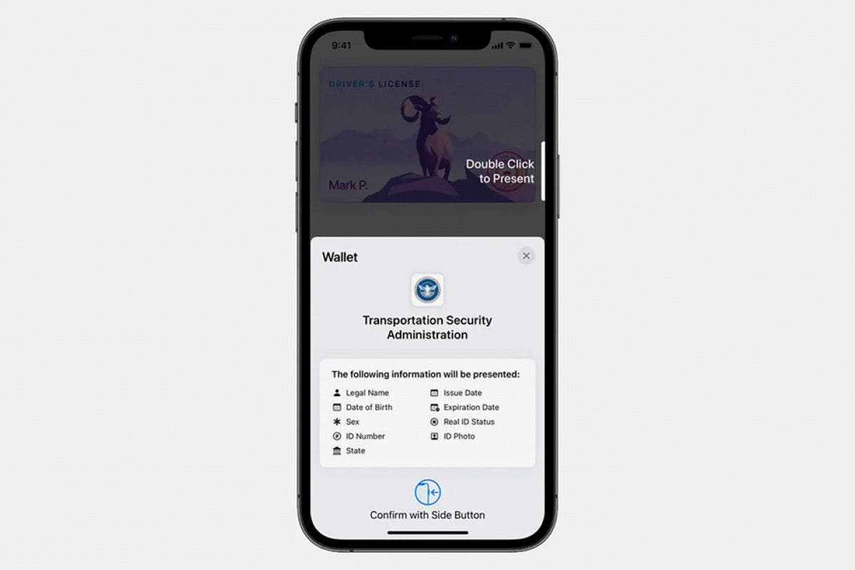 How to Add a Driver's License to Apple Wallet (2025)