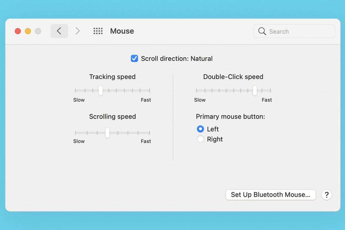 How to Change Scroll Direction on Mac: External Mouse