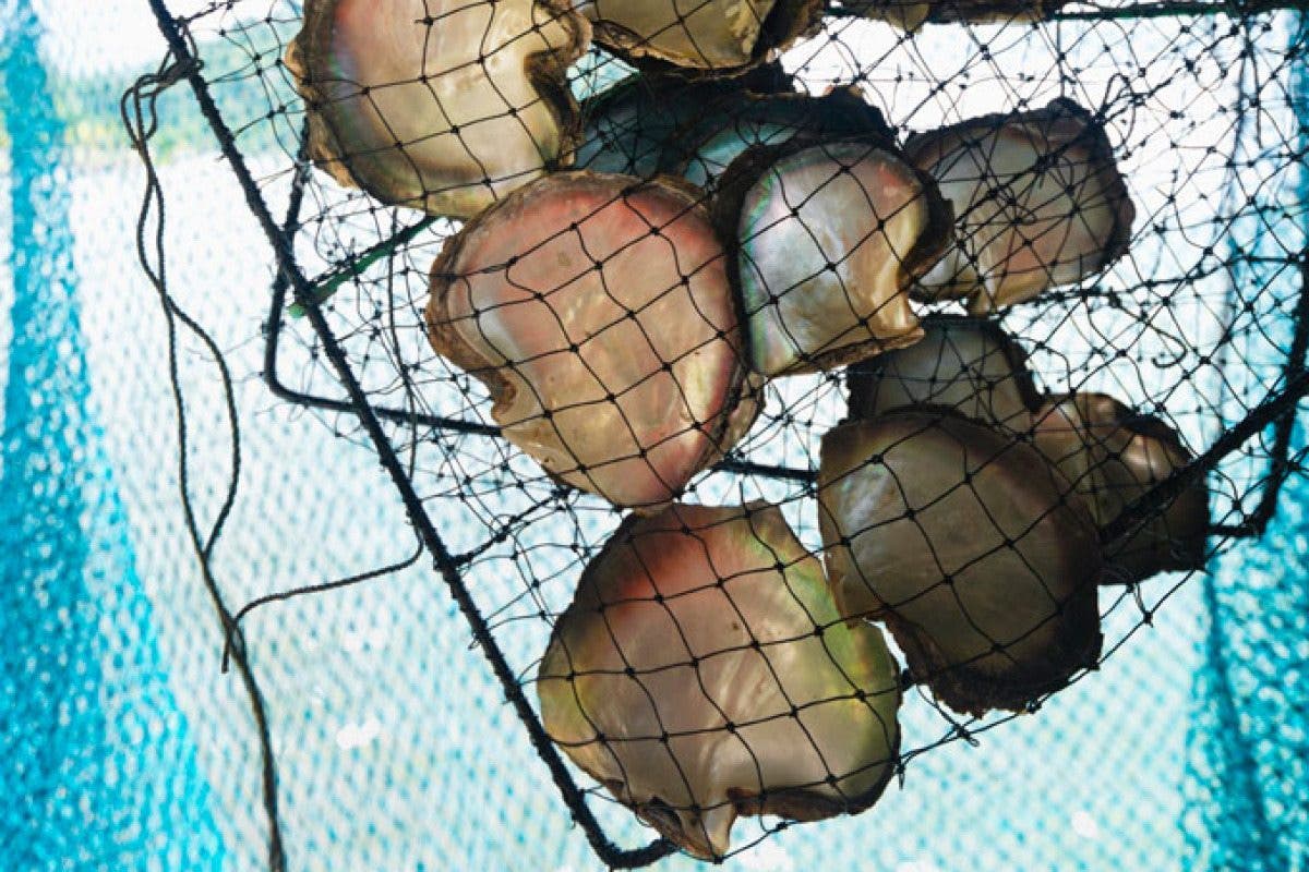 Unleash Your Inner App Developer Part 12: Hardening Your Code