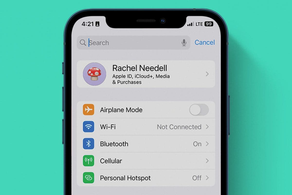 How to Search the Settings on Your iPhone