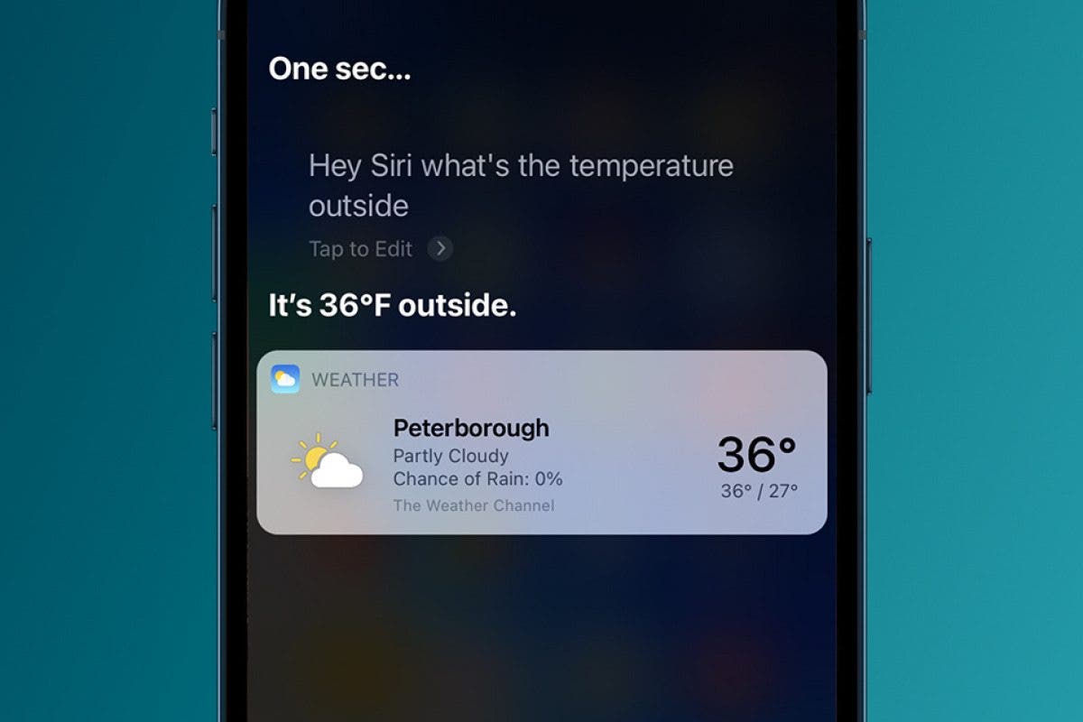 Can You See Siri Search History on iPhone?