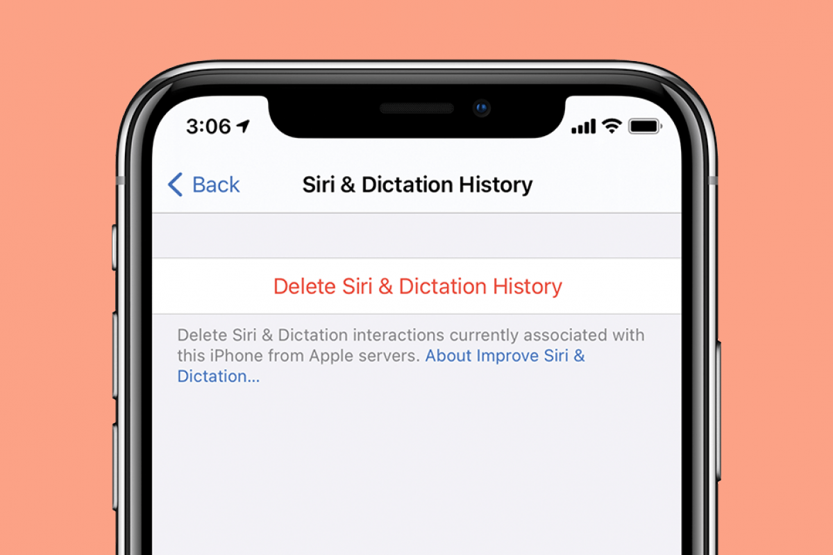 How to Find & Delete Your Siri Search History