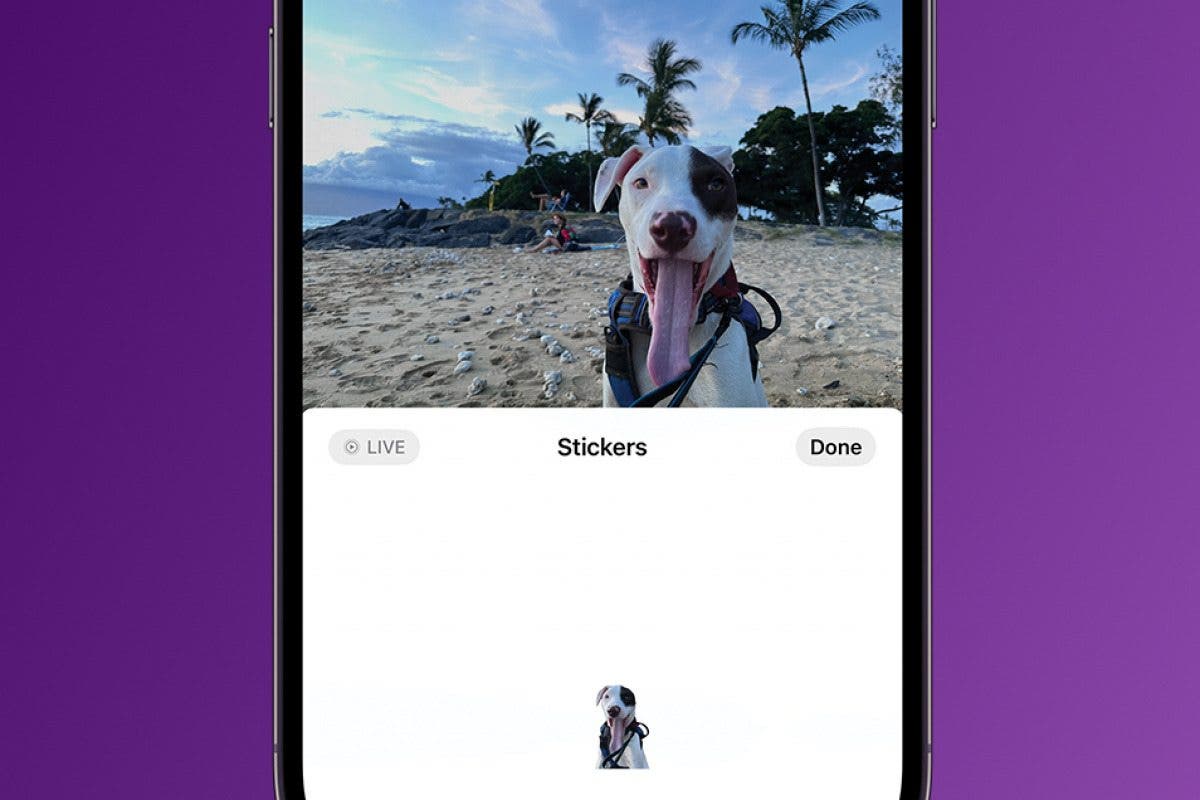 How to Take the Best Live Custom Photo Stickers