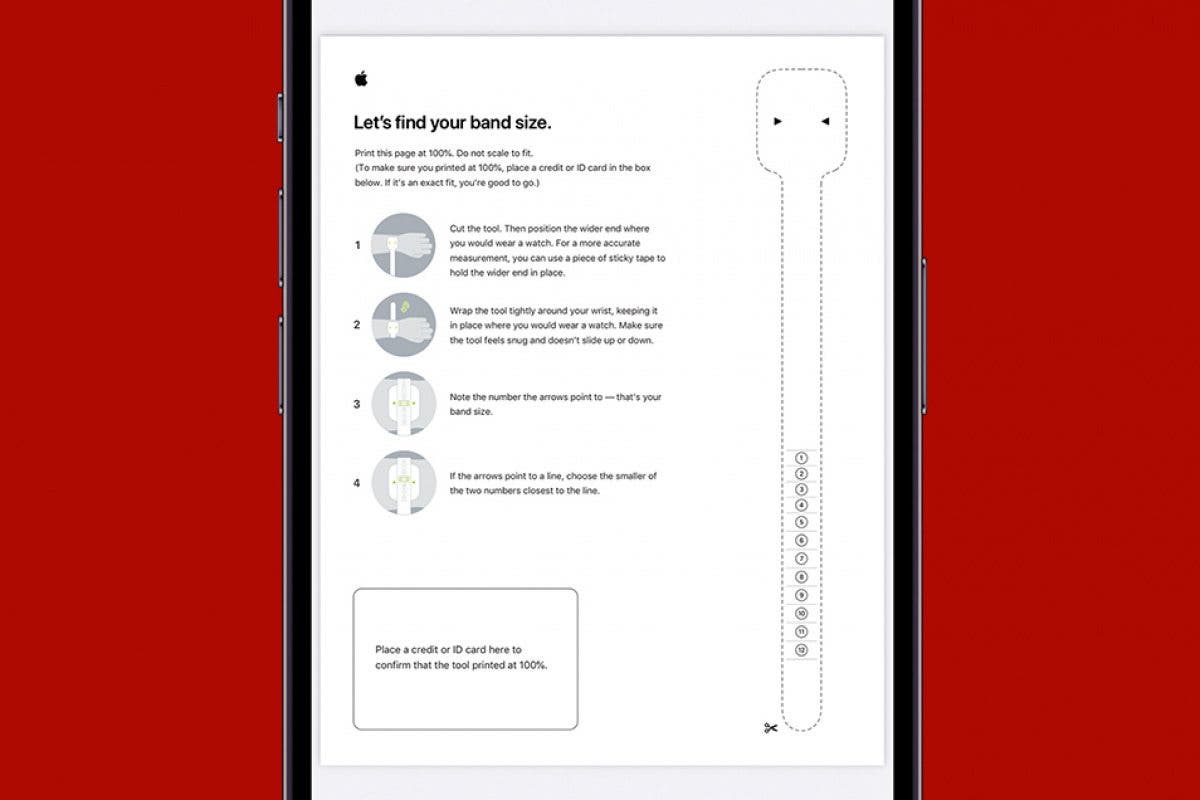 Apple Watch Band Sizes Explained: 5 Steps to a Perfect Fit