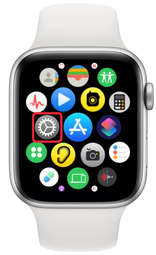 How to Turn Up Your Apple Watch Brightness—Two Easy Ways! | www ...