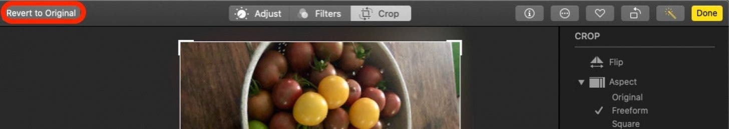 How to Tilt & Rotate Photos on Mac