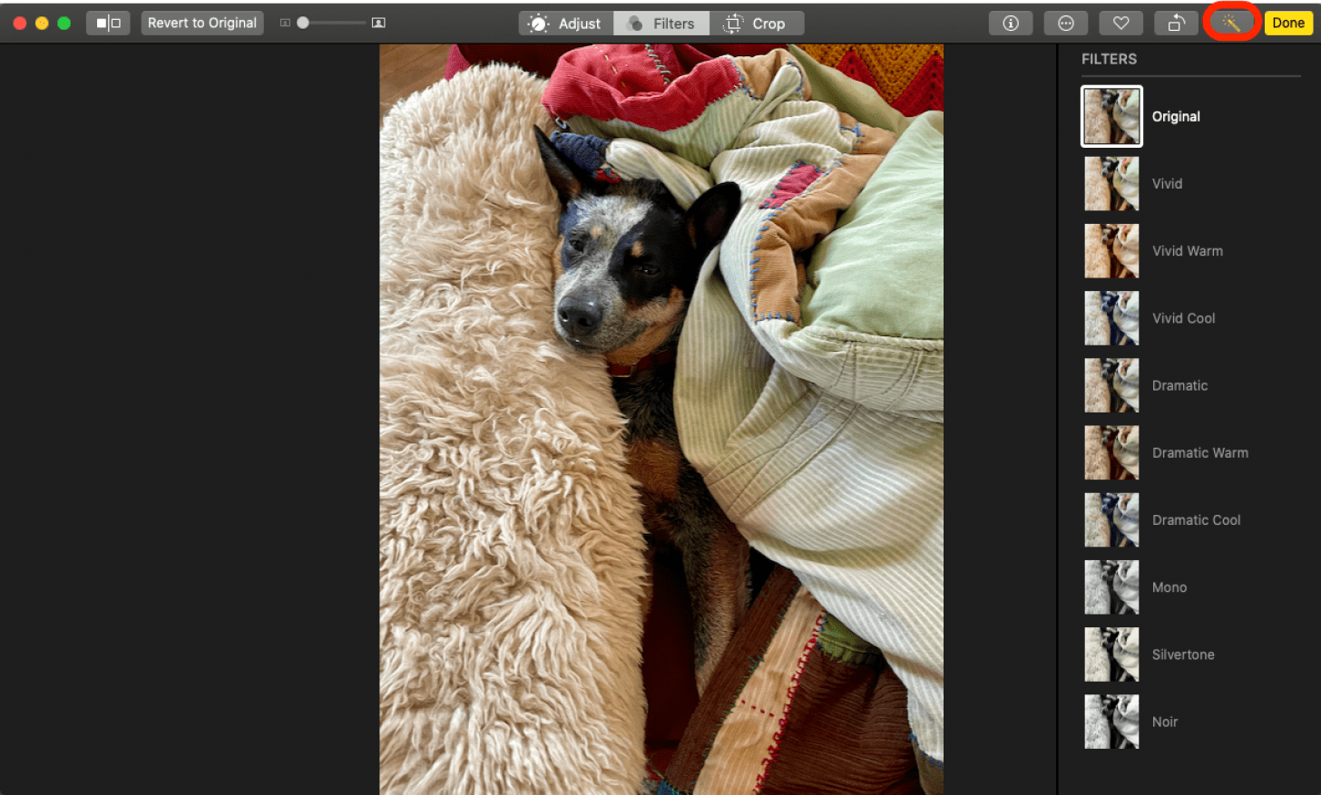 How to Put a Filter on a Photo or Video on Mac