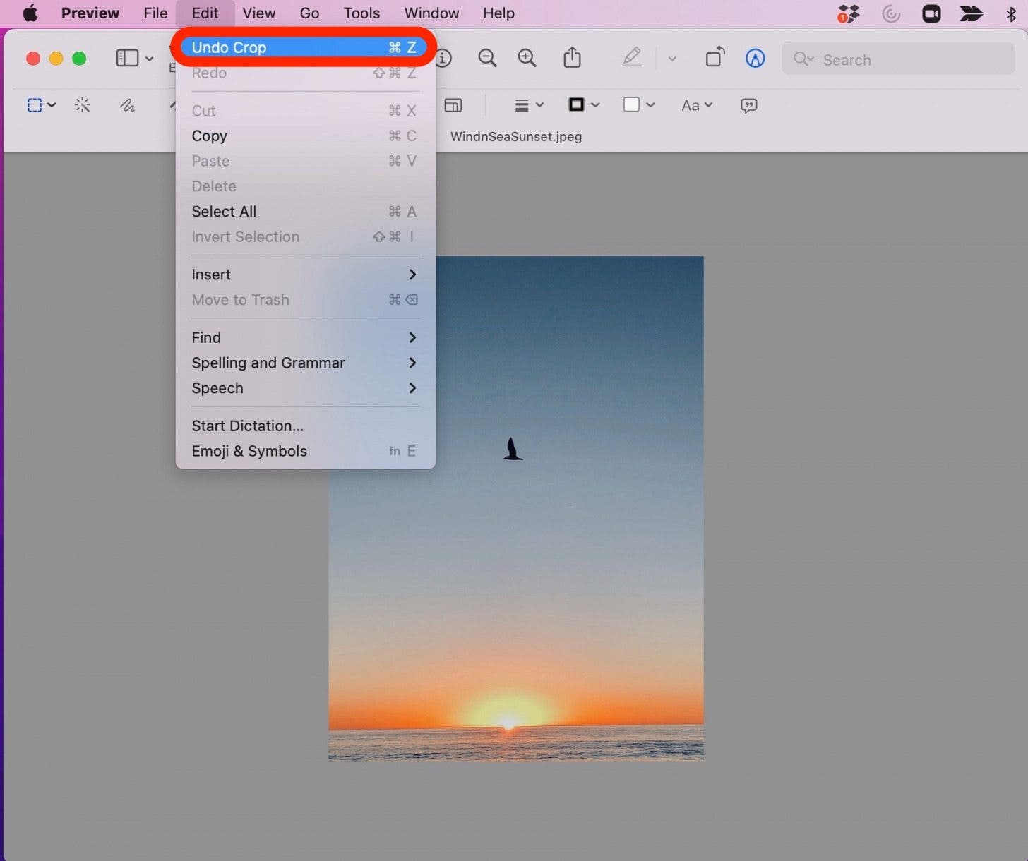 How To Crop Photos on Mac (Easiest Way!)