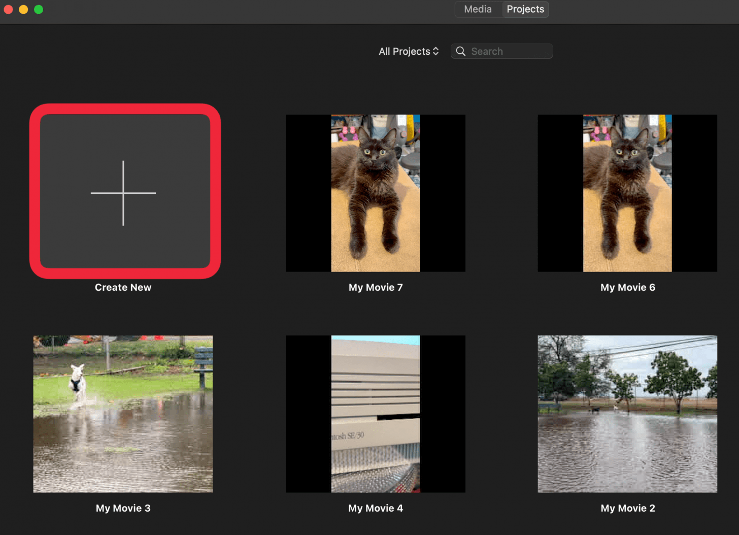How to Reverse a Video on iPhone