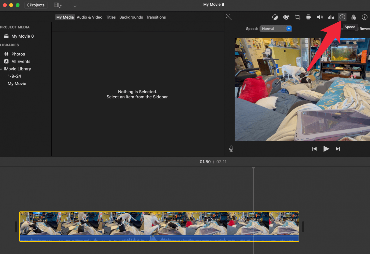 How to Reverse a Video on iPhone