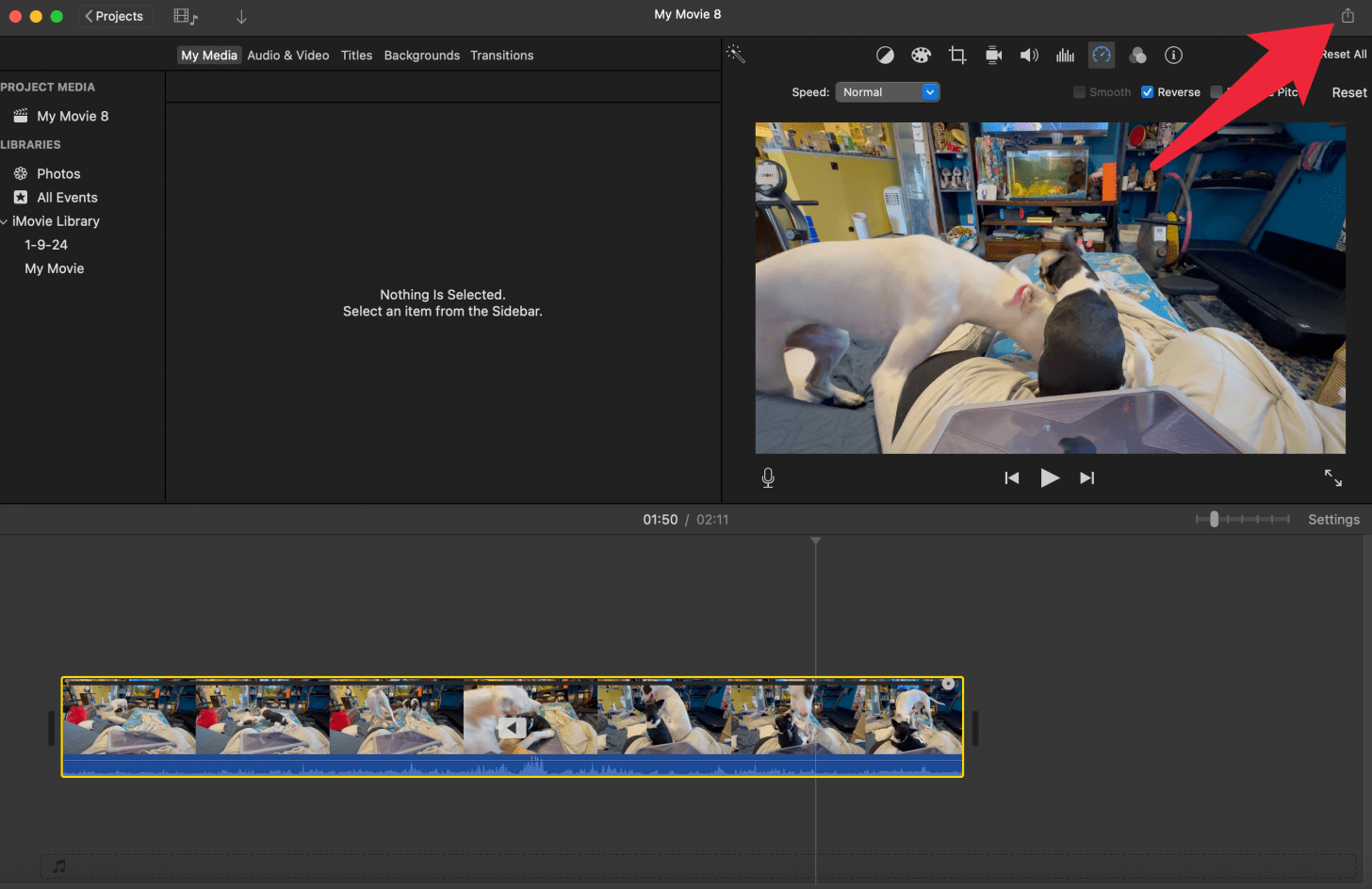 How to Reverse a Video on iPhone