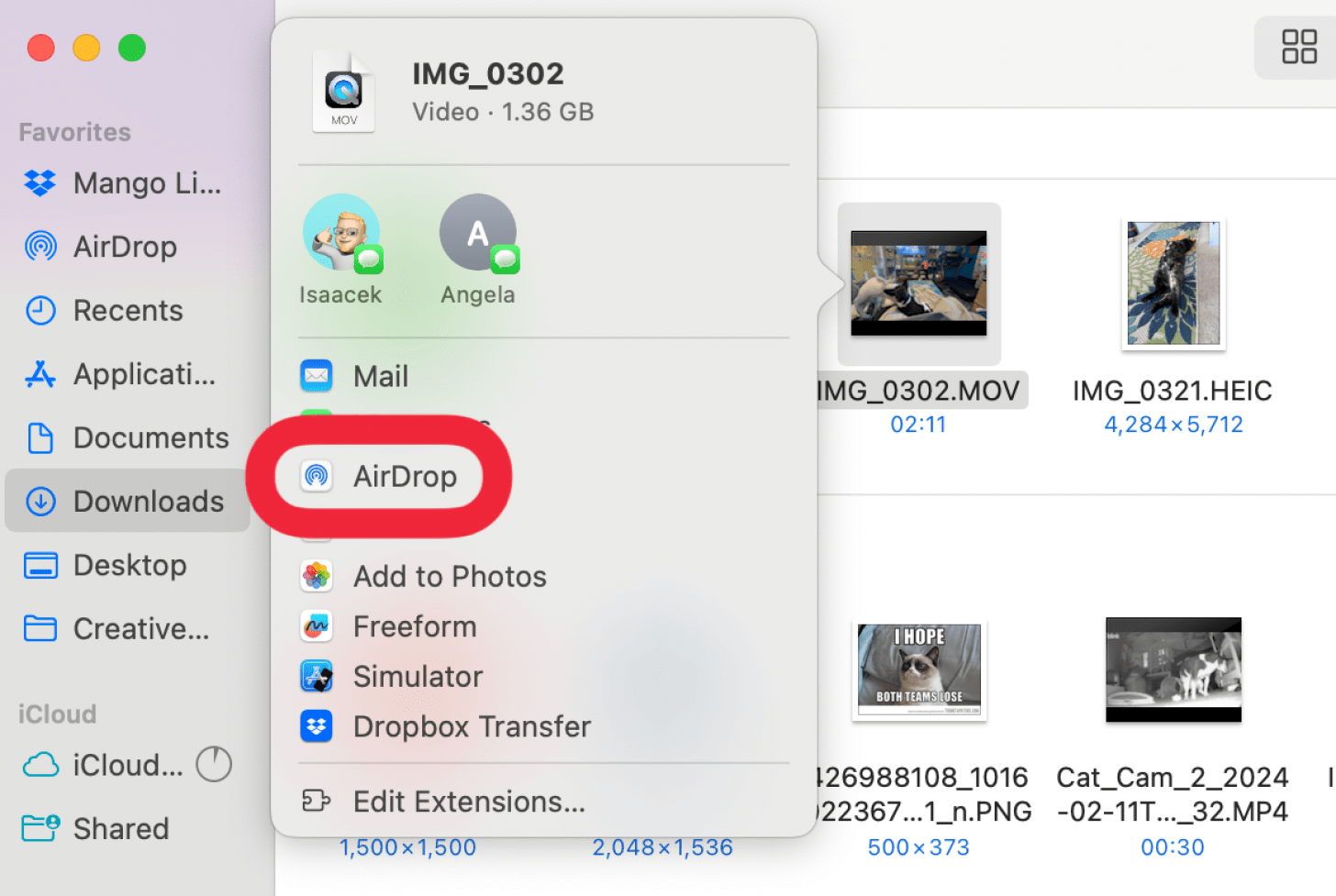 How to Reverse a Video on iPhone
