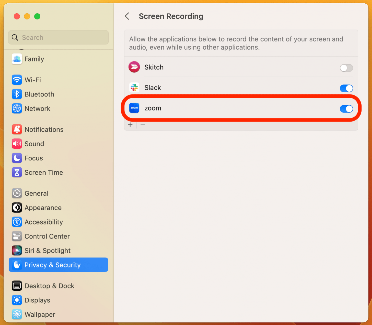 How to Enable Screen Sharing on Zoom | www.iphonelife.com