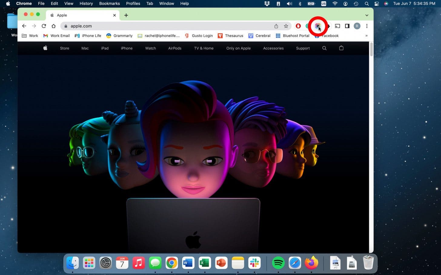 How to Screenshot a Whole Webpage: 4 Free Ways | www.iphonelife.com
