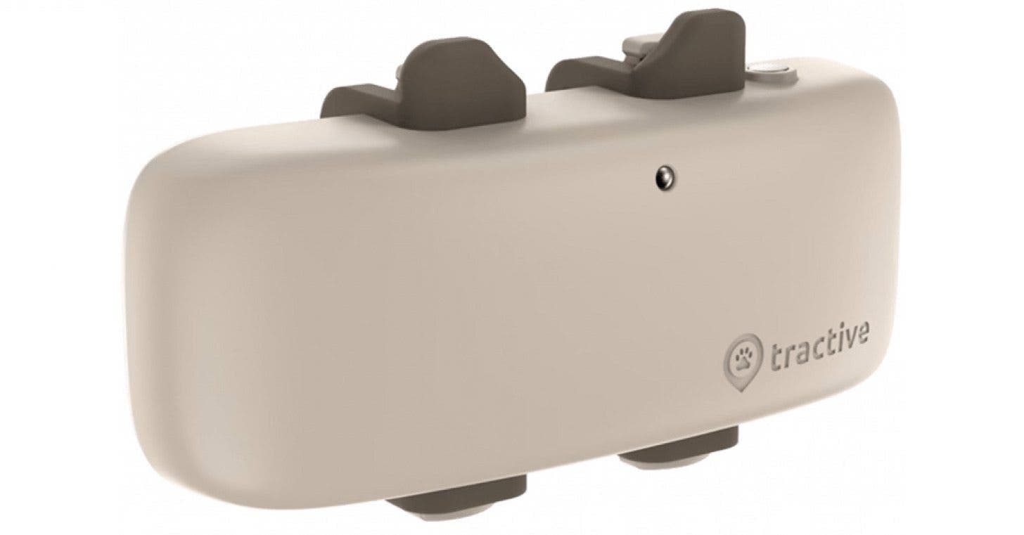 Best Smart Dog Collars & Tracking Gadgets for iPhone (2024)