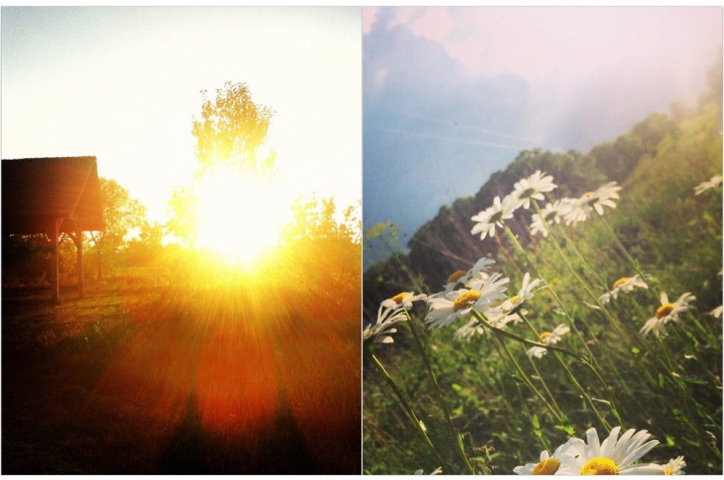 iPhone Photography Tips: How to Use Lighting to Take More Creative Pictures