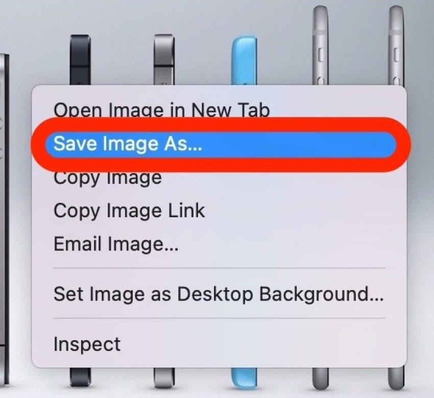 How To Save An Image On Mac how-to-save-an-image-on-mac