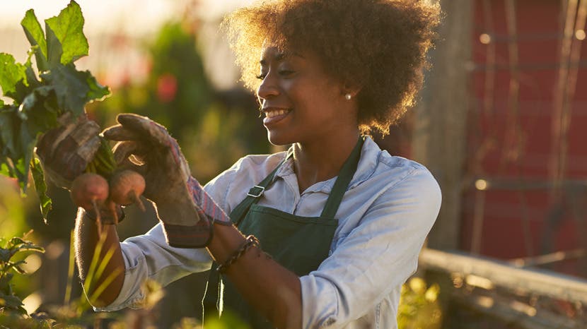 Garden Planner Apps: Plant & Harvest Your Best Produce Yet