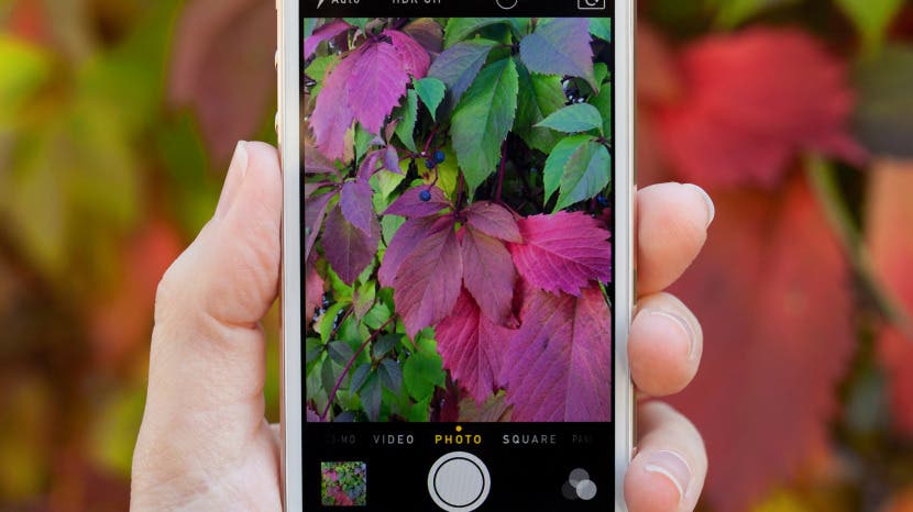 How to Crop Pictures on iPhone (Without an Editing App)