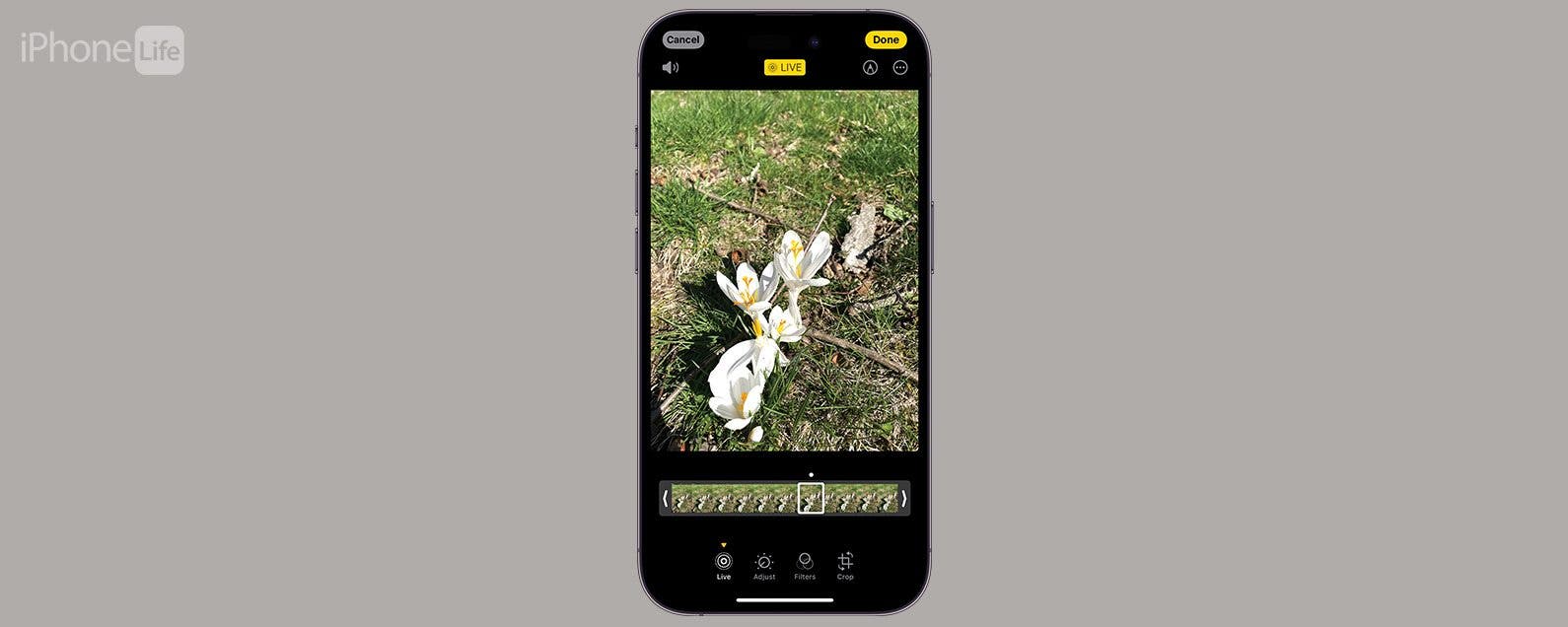 How to Hear Live Photos