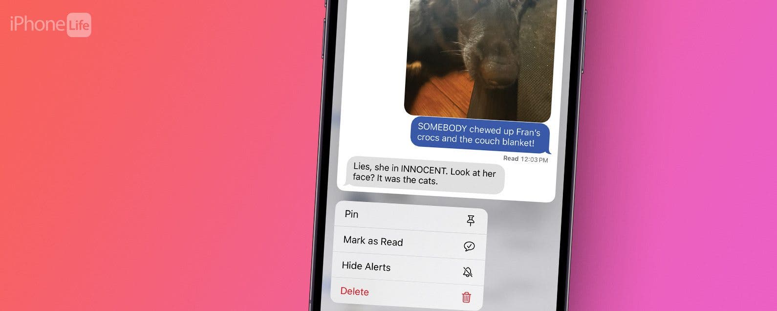 How to Pin a Contact in Messages on Your iPhone & iPad