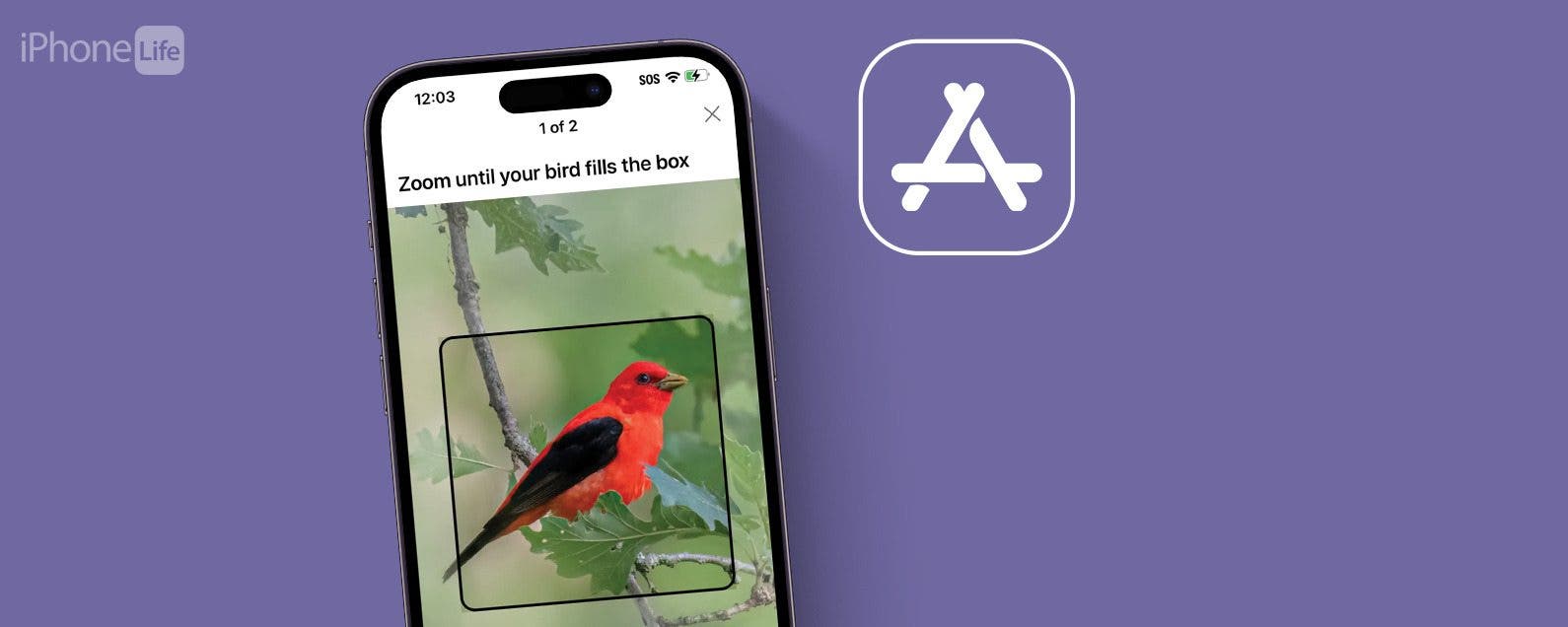 iPhone Life's Best Staff & Reader Picks Apps (2024)