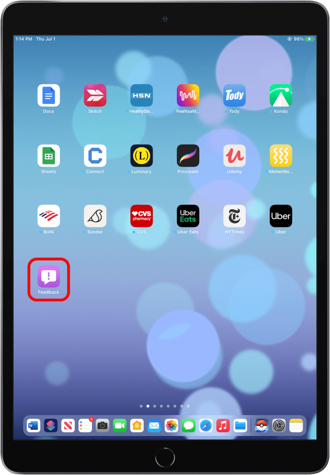 iPadOS Beta: How to Install It & What to Expect