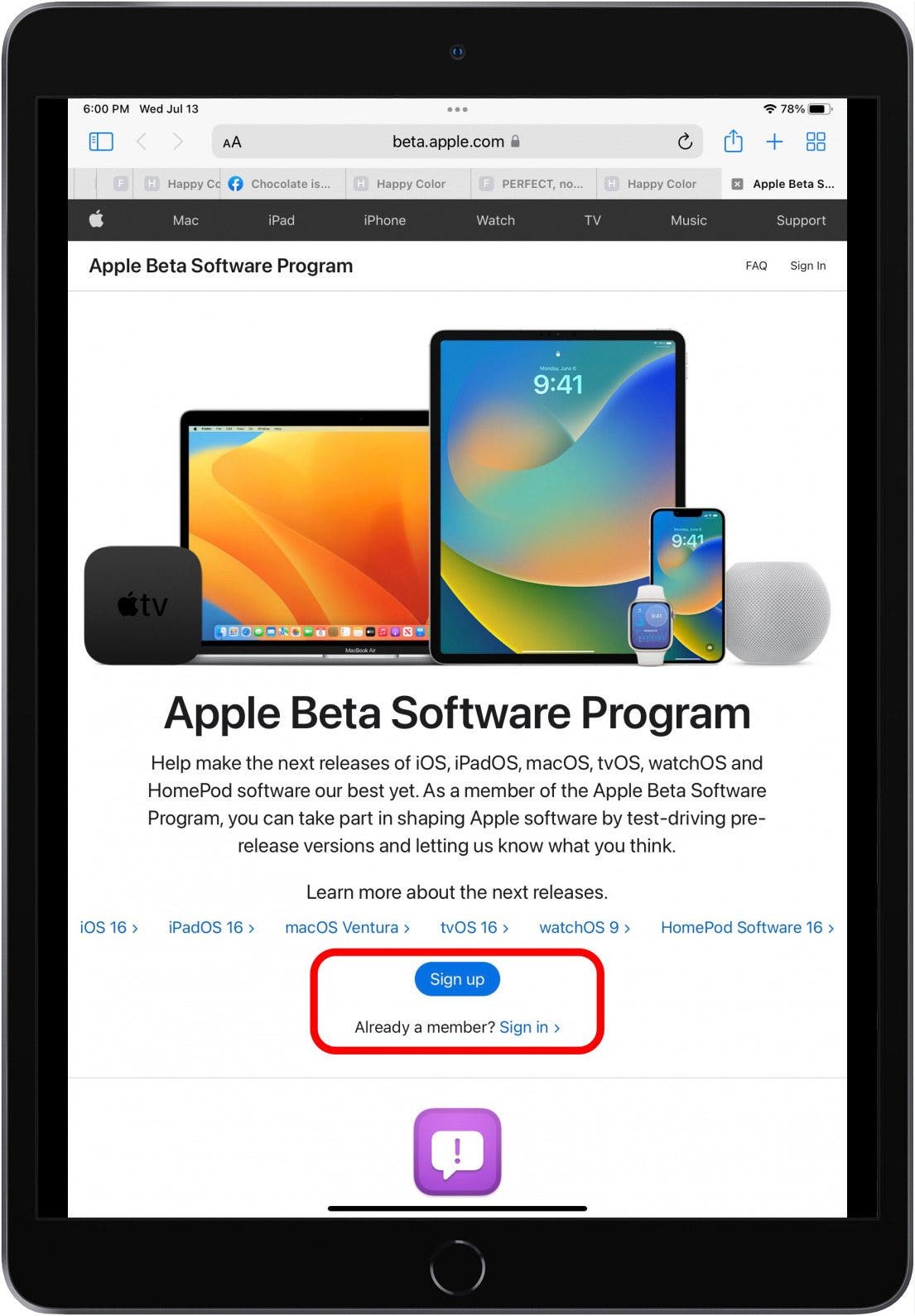 iPadOS Beta: How to Install It & What to Expect