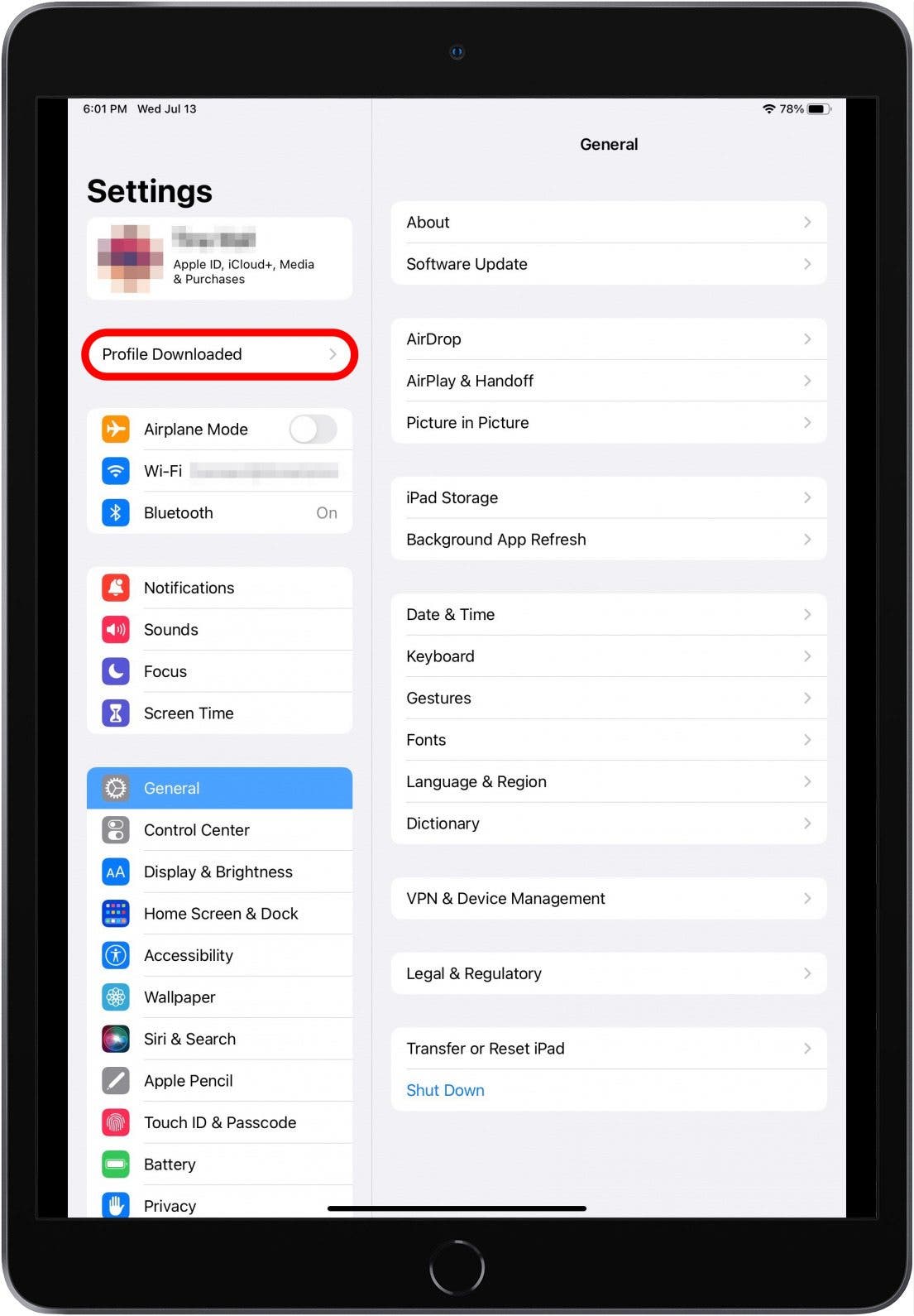 iPadOS Beta: How to Install It & What to Expect