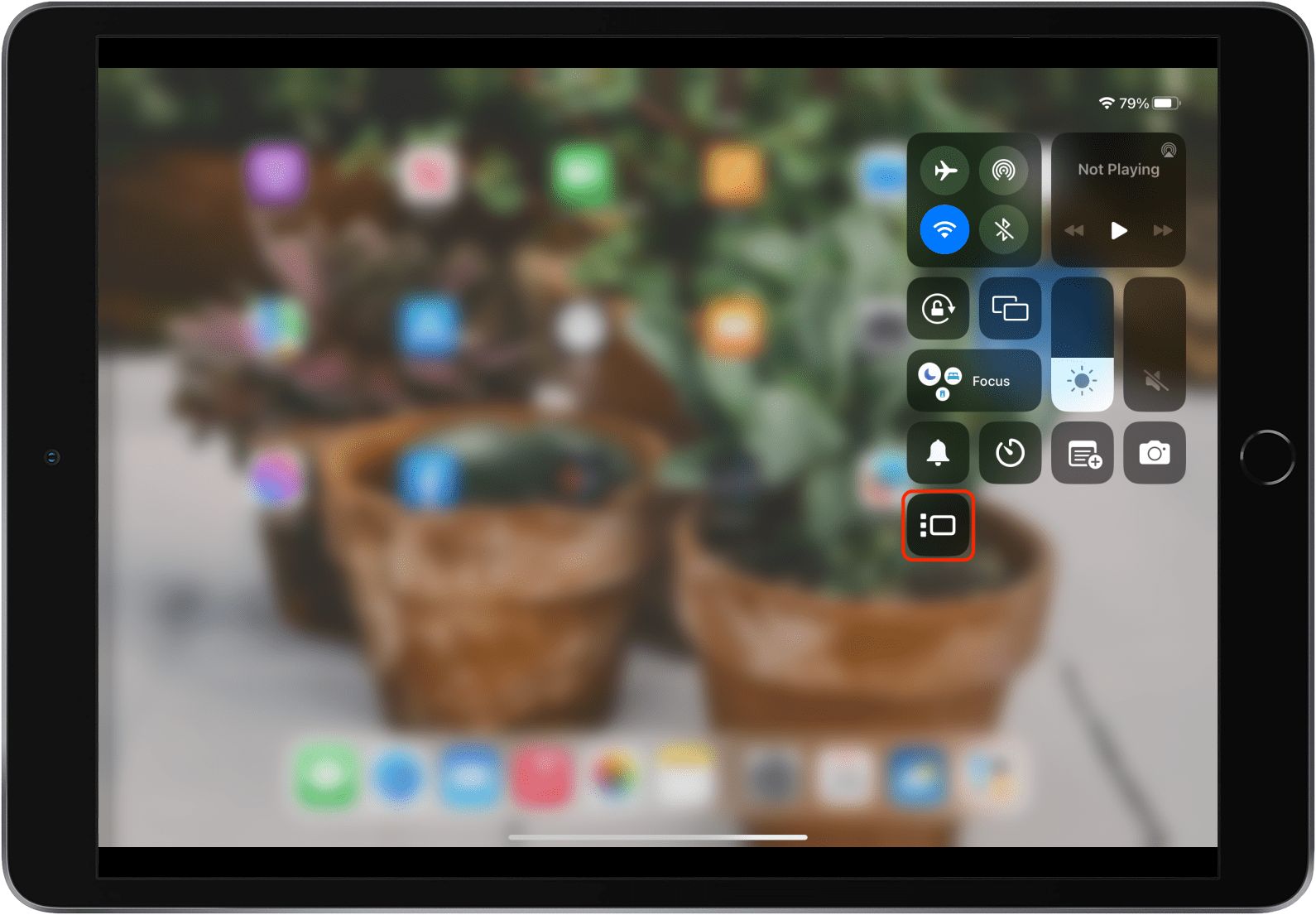 iPad | www.iphonelife.com