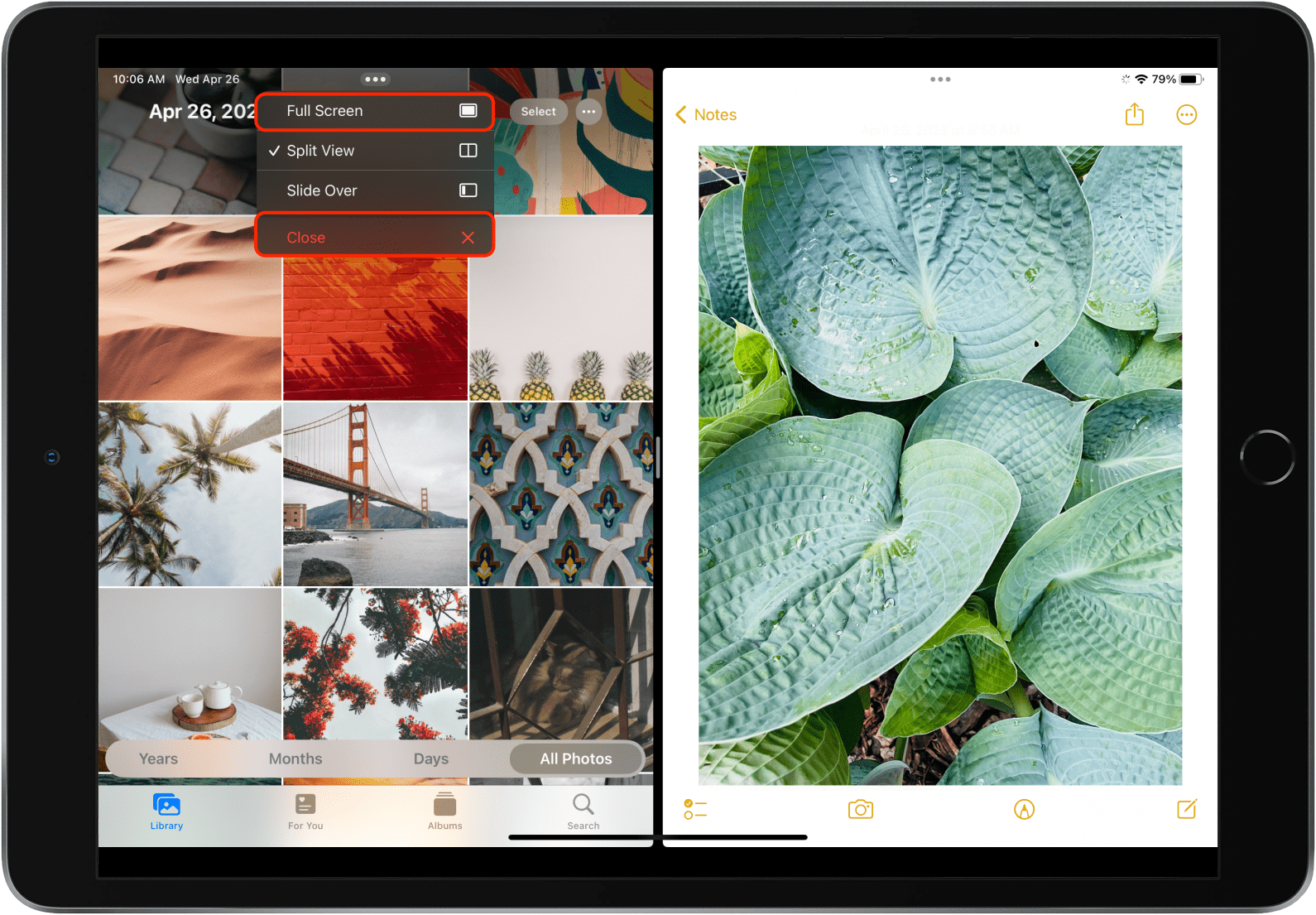 iPad | www.iphonelife.com