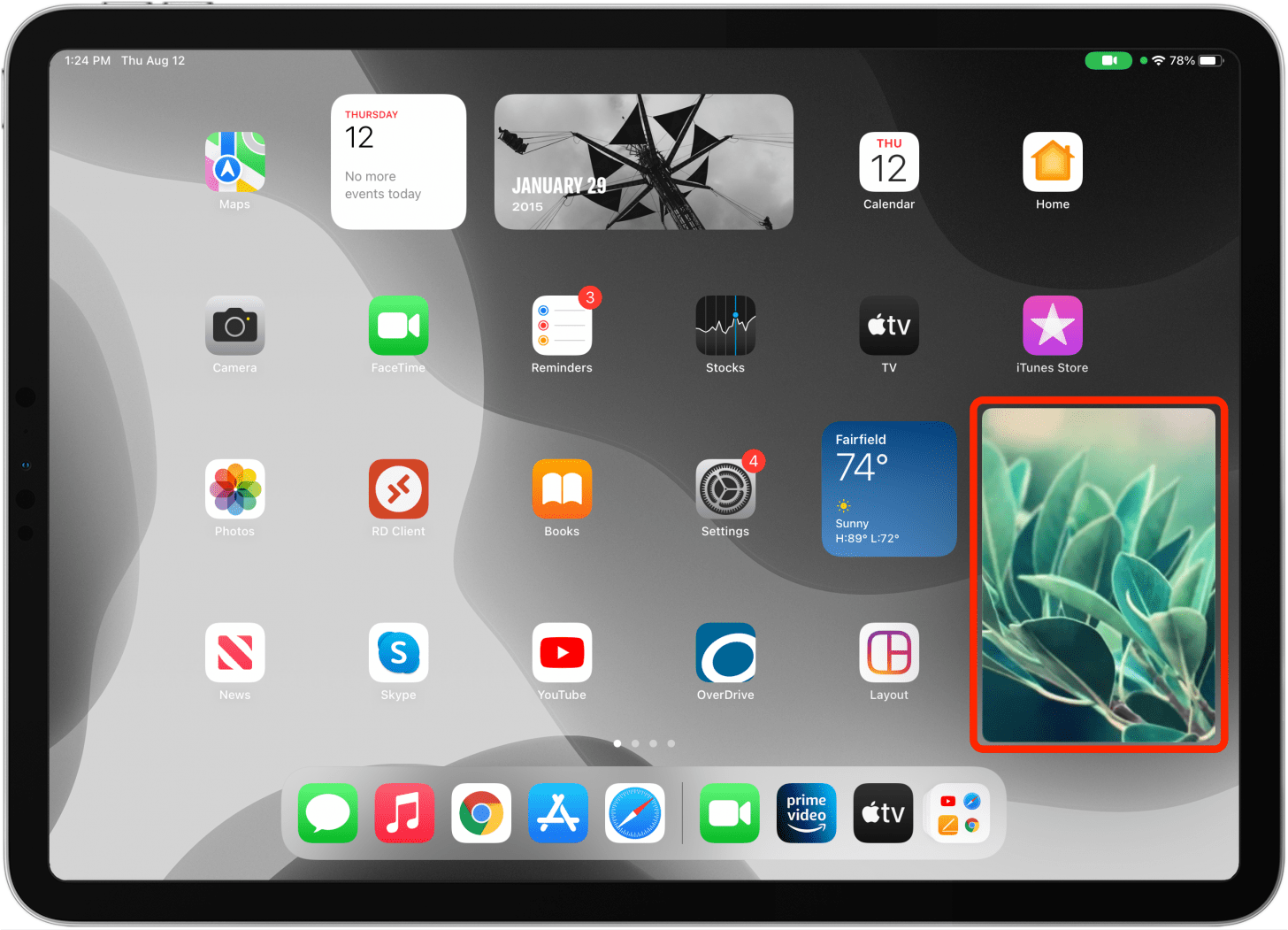 How to Enable Picture in Picture on iPad & iPhone