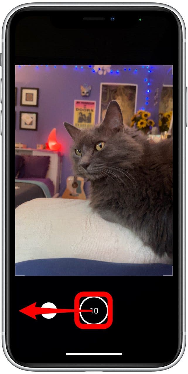 How to Take Burst Photos on iPhone | www.iphonelife.com