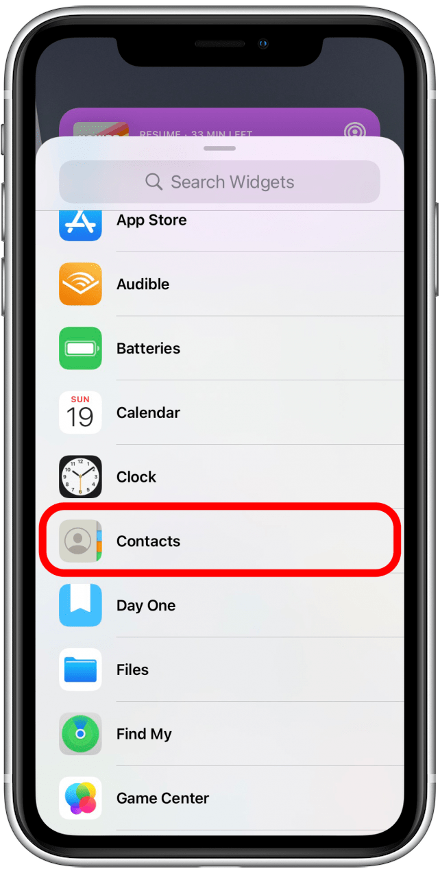 Iphone Contacts Screen