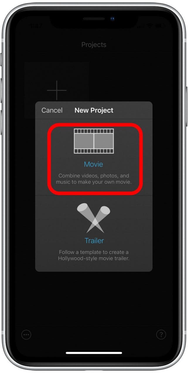 How to Add Music to a Video on iPhone (2 Free Ways)