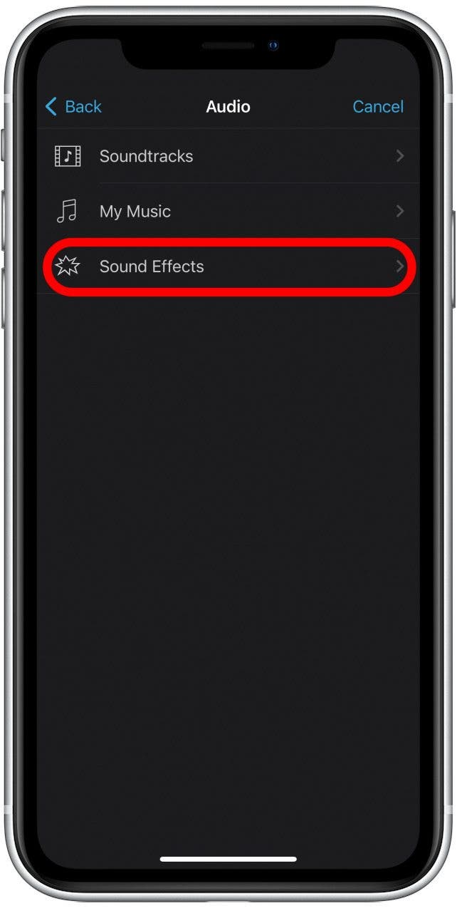 How to Add Music to a Video on iPhone (2 Free Ways)