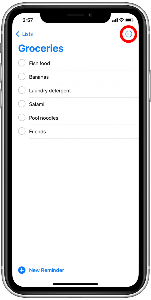 How to Print Lists in the Reminders App
