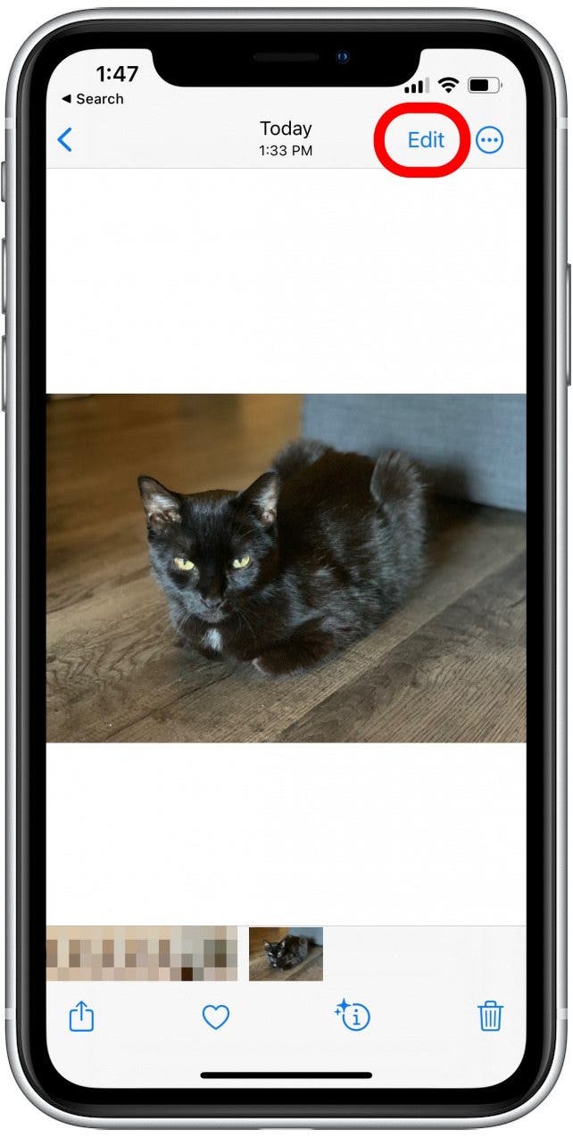 Add Emojis to Photos on Your iPhone–the Easy Way! (2022)