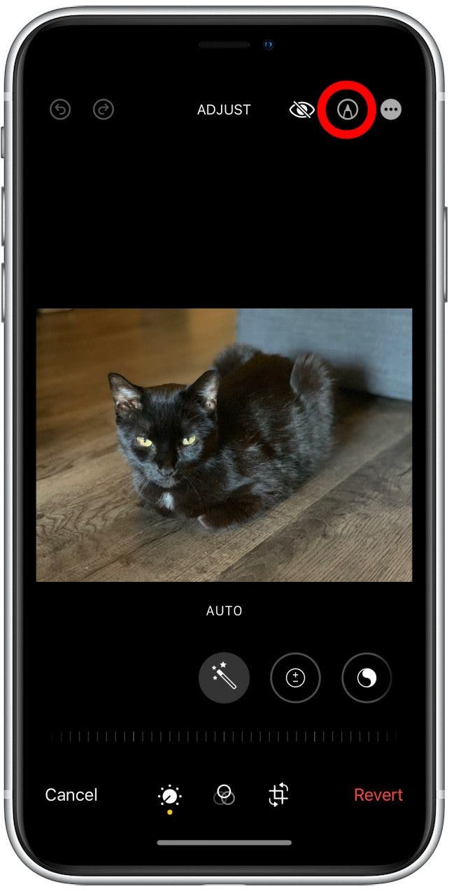 Add Emojis to Photos on Your iPhone–the Easy Way! (2022)