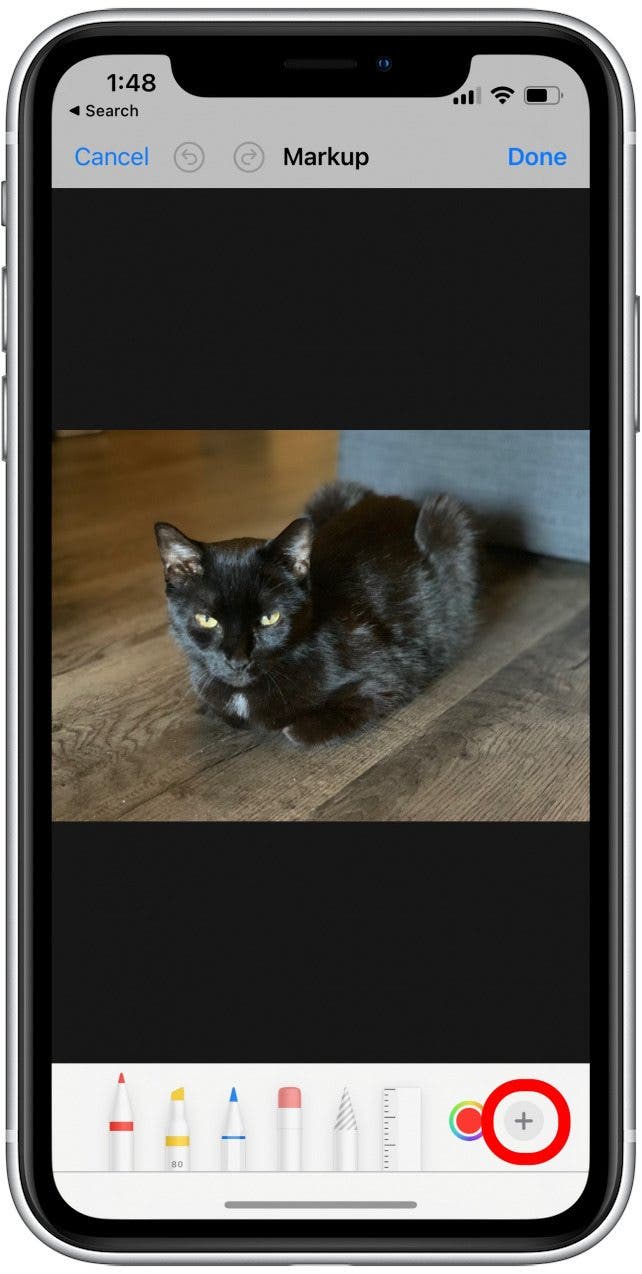 Add Emojis to Photos on Your iPhone–the Easy Way! (2022)