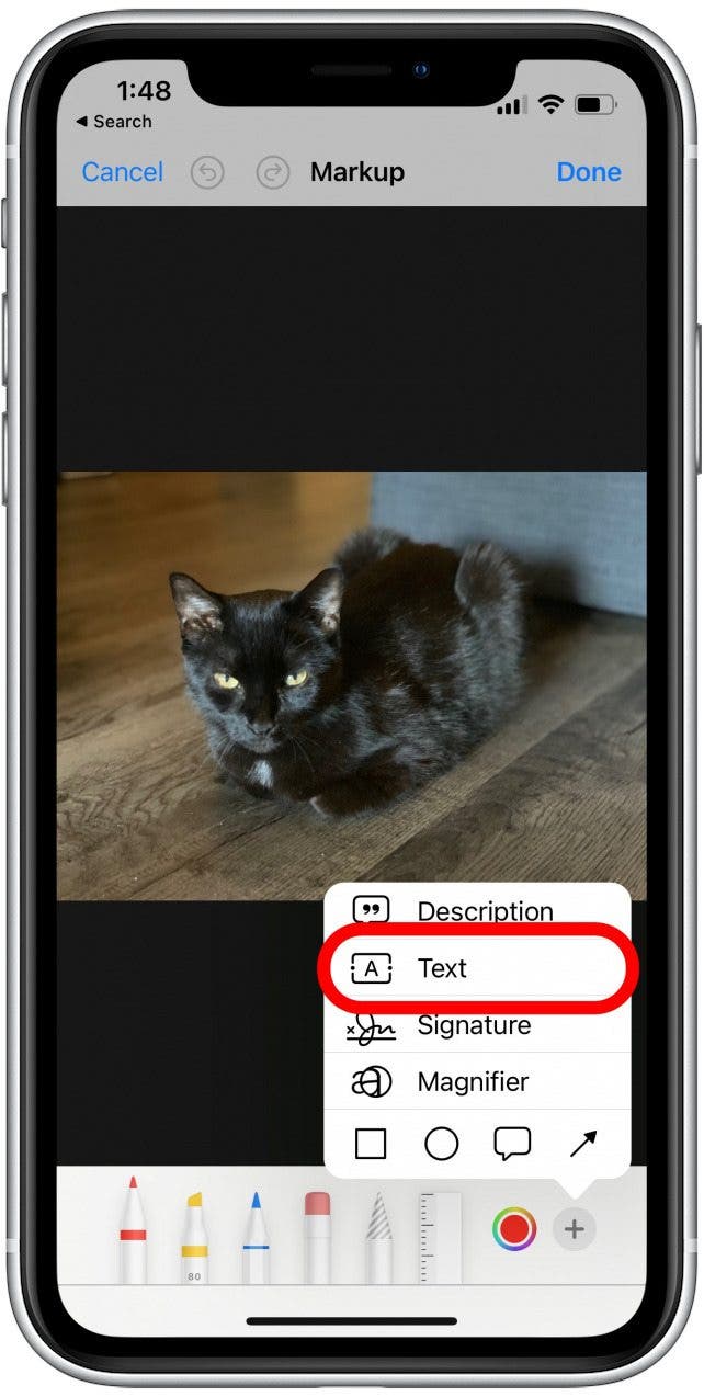 Add Emojis to Photos on Your iPhone–the Easy Way! (2022)