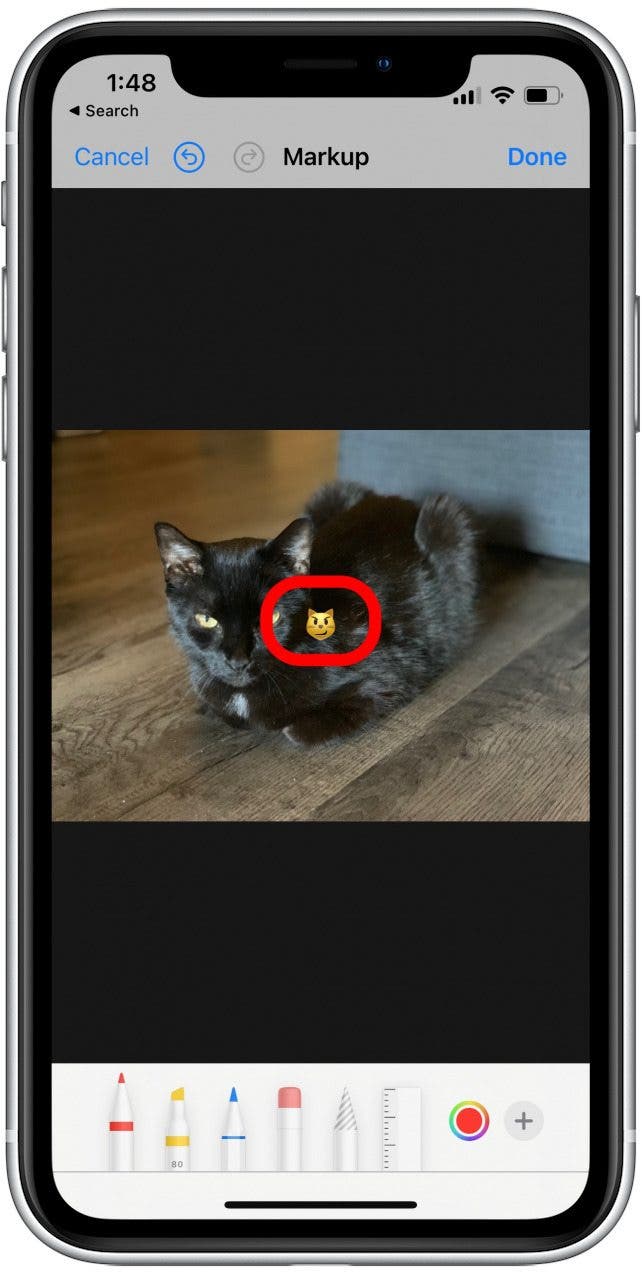 Add Emojis to Photos on Your iPhone–the Easy Way! (2022)